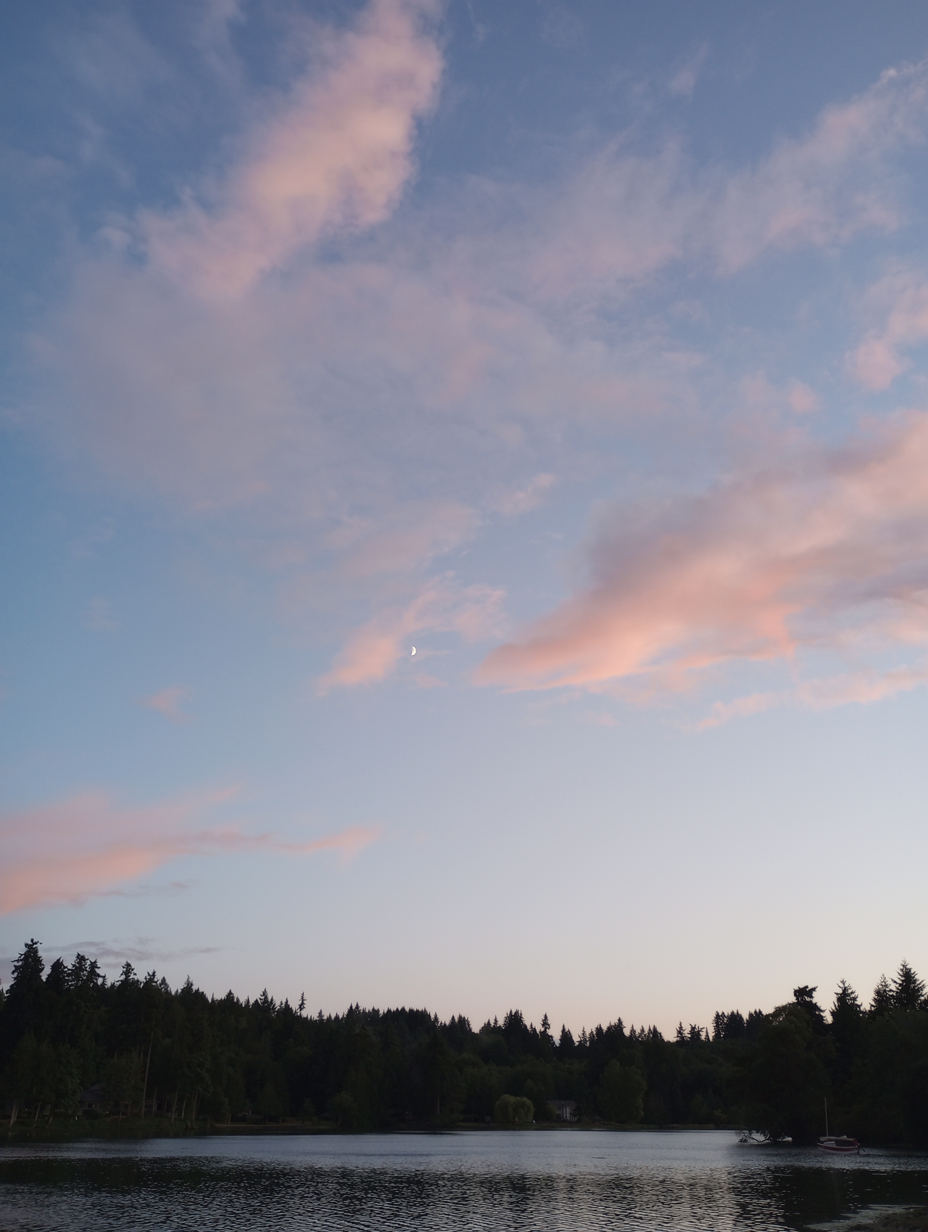 Apostle to the Gentiles – Blue Fox Shaman